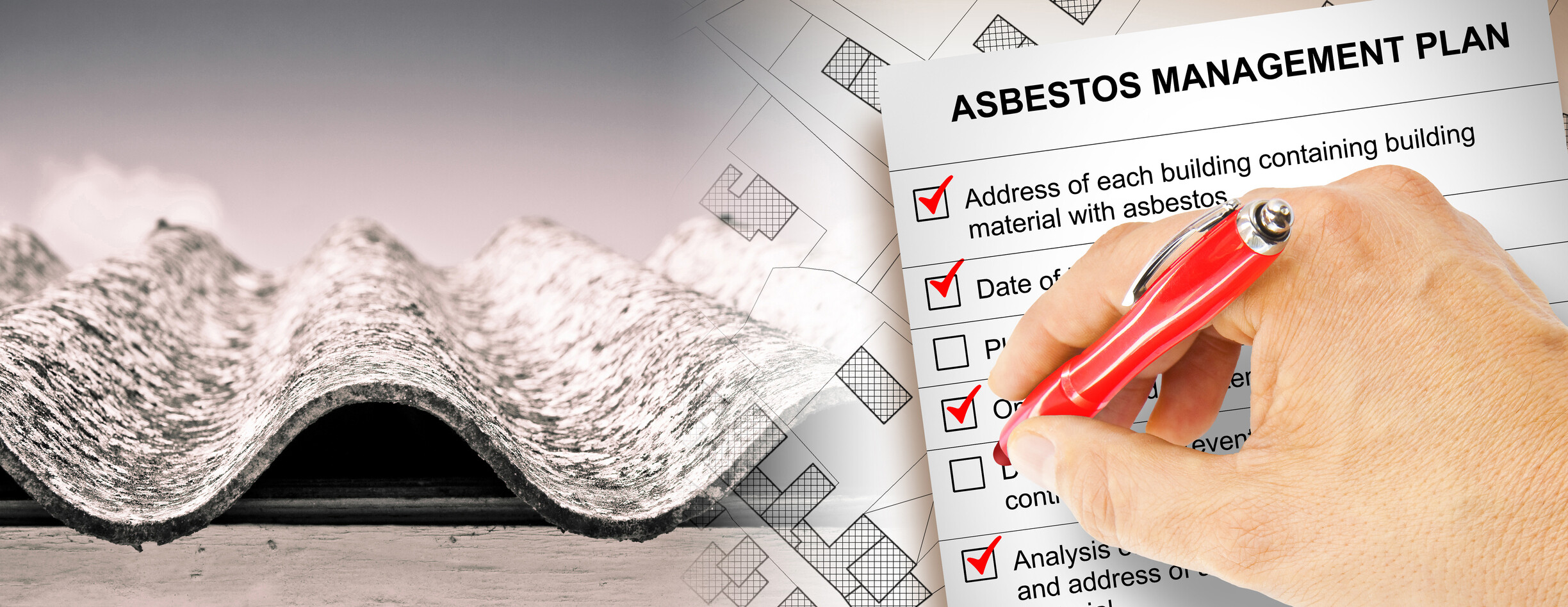 Asbestos Removal Management Checklist Example